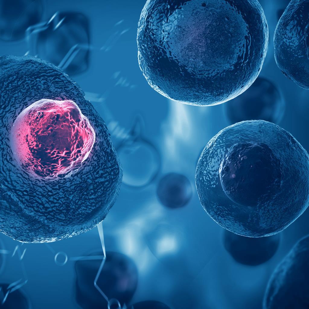 A review of Project Orbis: An initiative enabling faster patient access ...