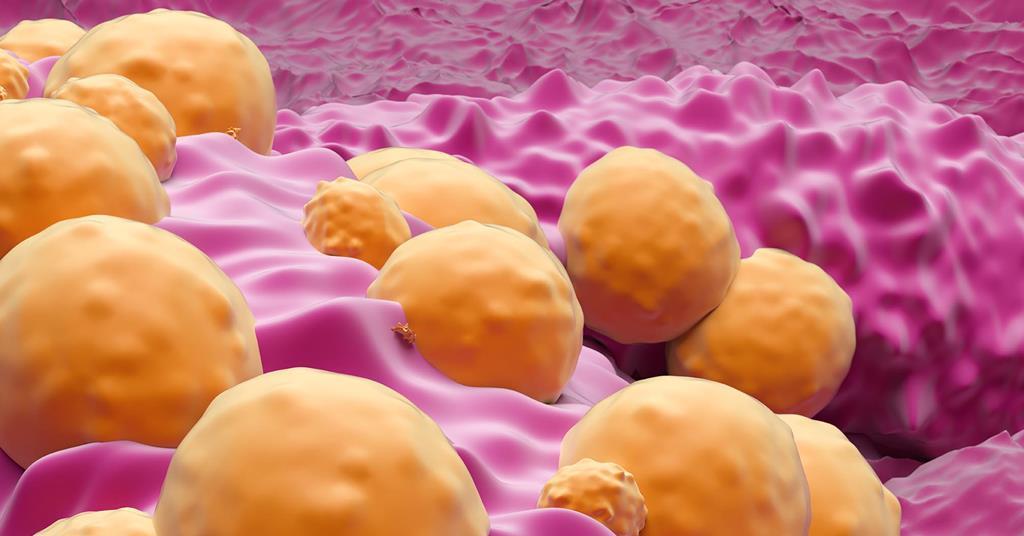 Device which can detect skin cancer approved by FDA | Industry news ...