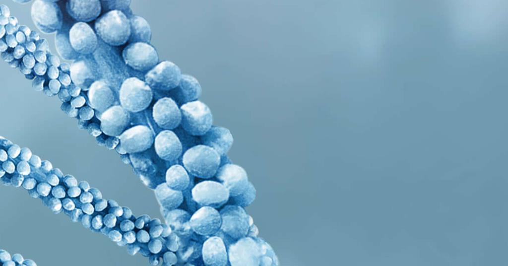 G-E-T-ting there – how gene editing technologies could change more than ...