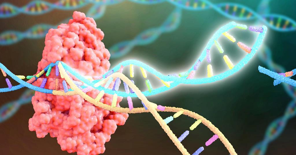 Novel gene editing method “roughly threefold” better | Industry news ...