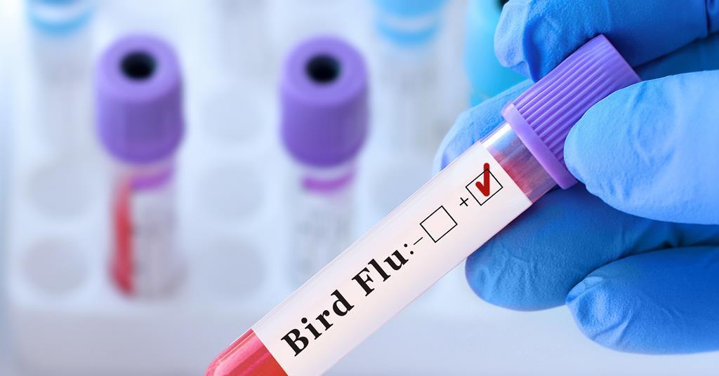 First human death from H5N2 avian flu recorded in Mexico | Industry ...