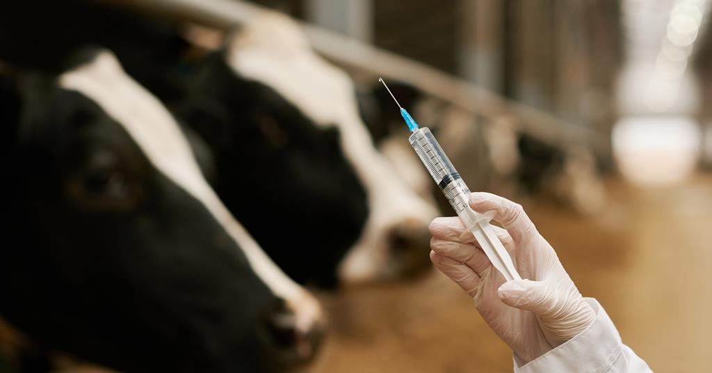 Autogenous vaccines under Regulation (EU) 2019/6 | Journal | Regulatory ...